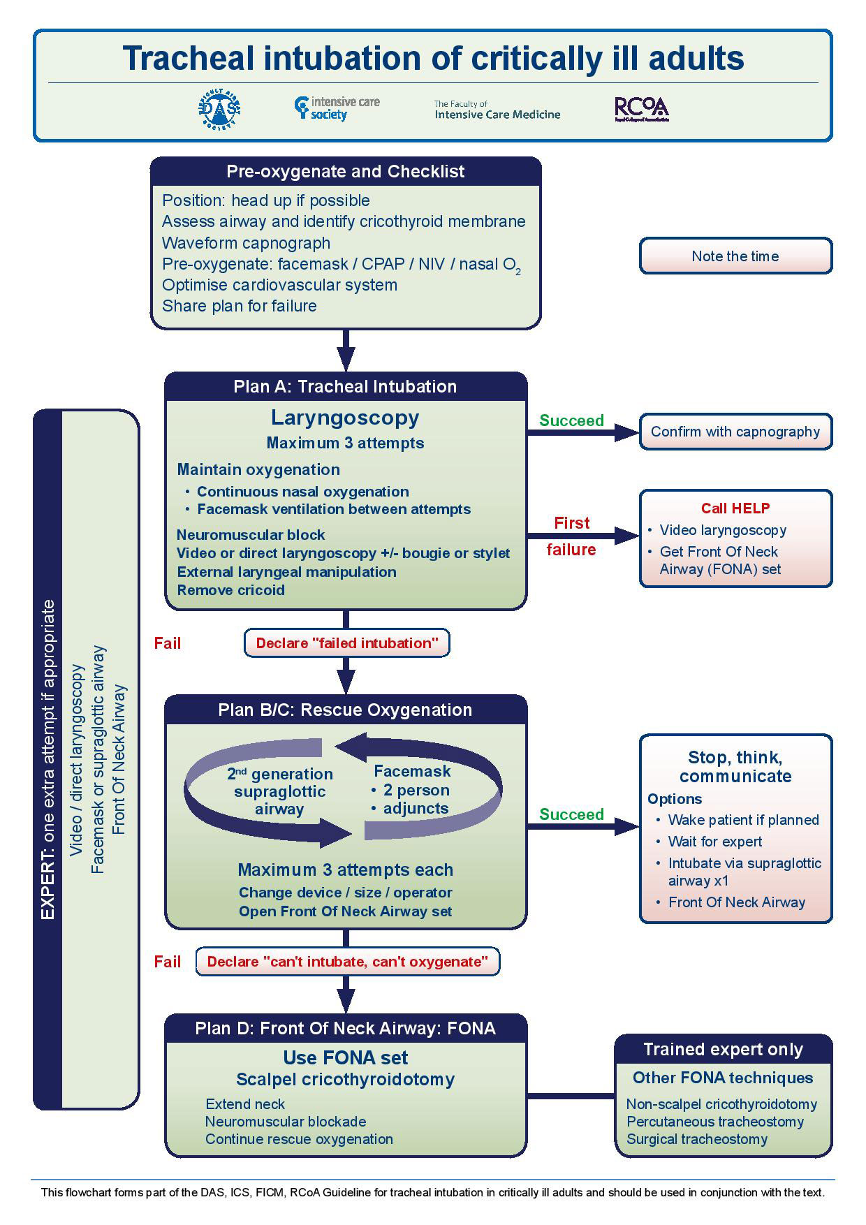 Airway Management in Critical Care